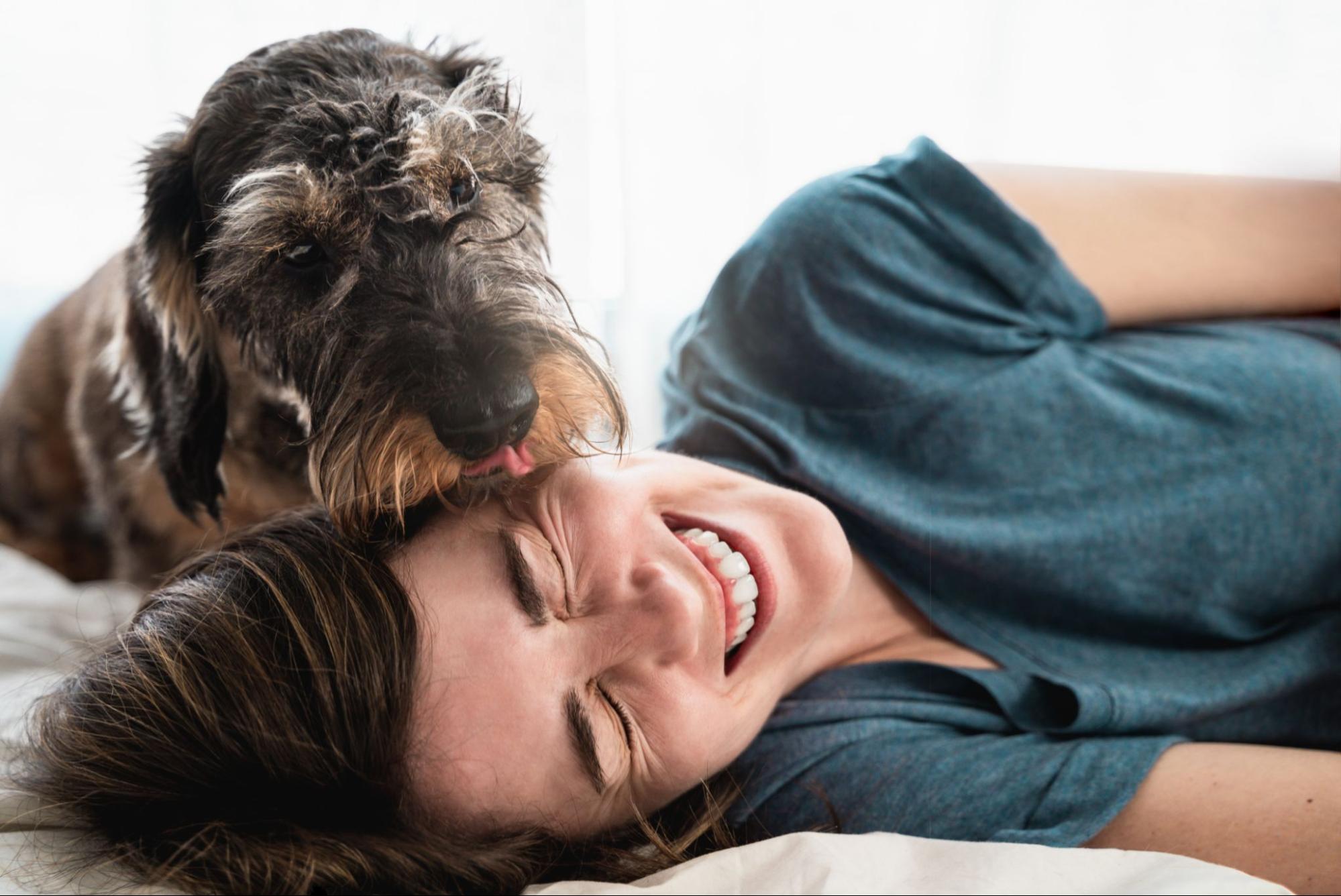 Tactile Stimulation Service Dog: What Is It and What Do They Do ...