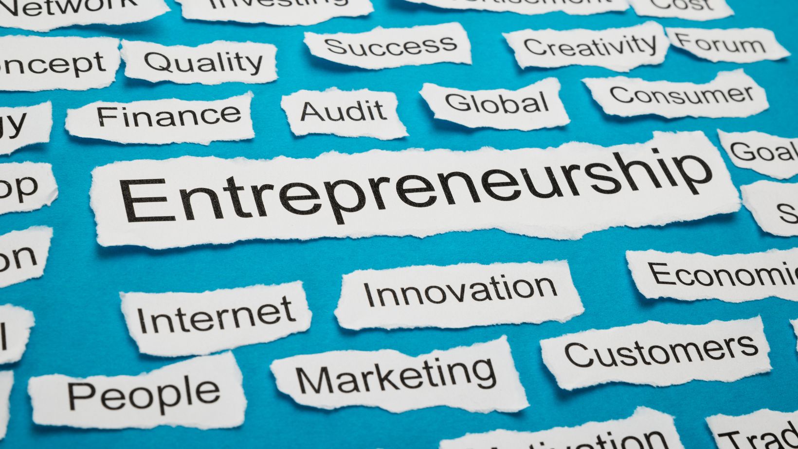 Entrepreneurship in 3D: How Startups Can Leverage 3D Annotation for ...